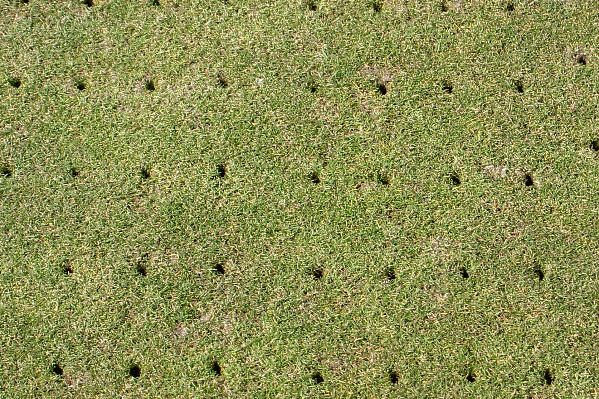 Aeration Machines to reduce soil compaction I Redexim