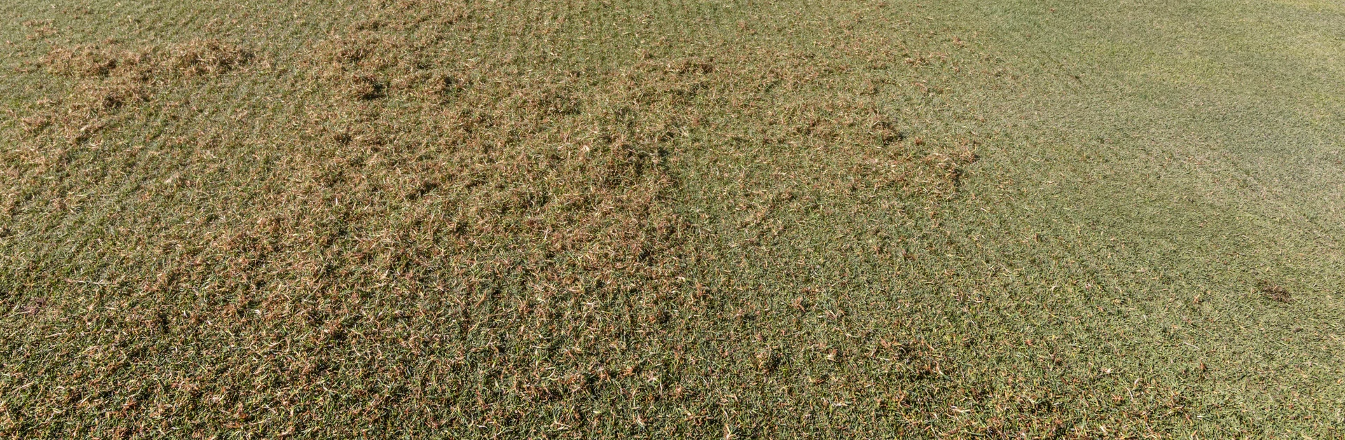 Find your Verticutting Machines and Fraise Mowers I Redexim