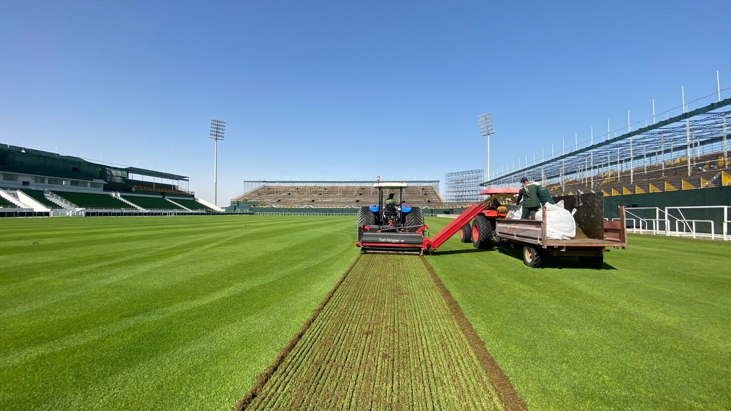 The Fraze Mower: Hybrid and Natural Turf Renovation